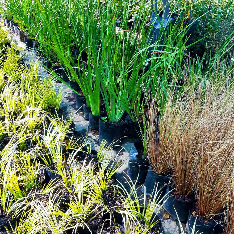 Home [fleurtation.co.za]